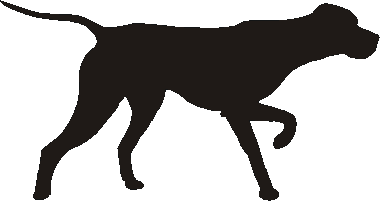 Pointer Tall Tumblers | The Profiles Range