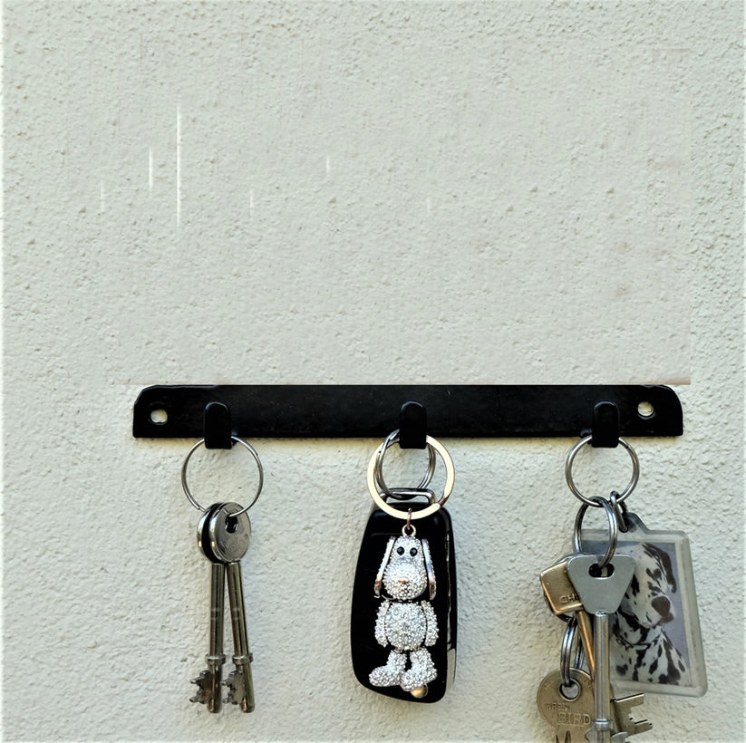 Lots of keys, you need lots of Hooks, our great 6 Hook Key Rack will ...