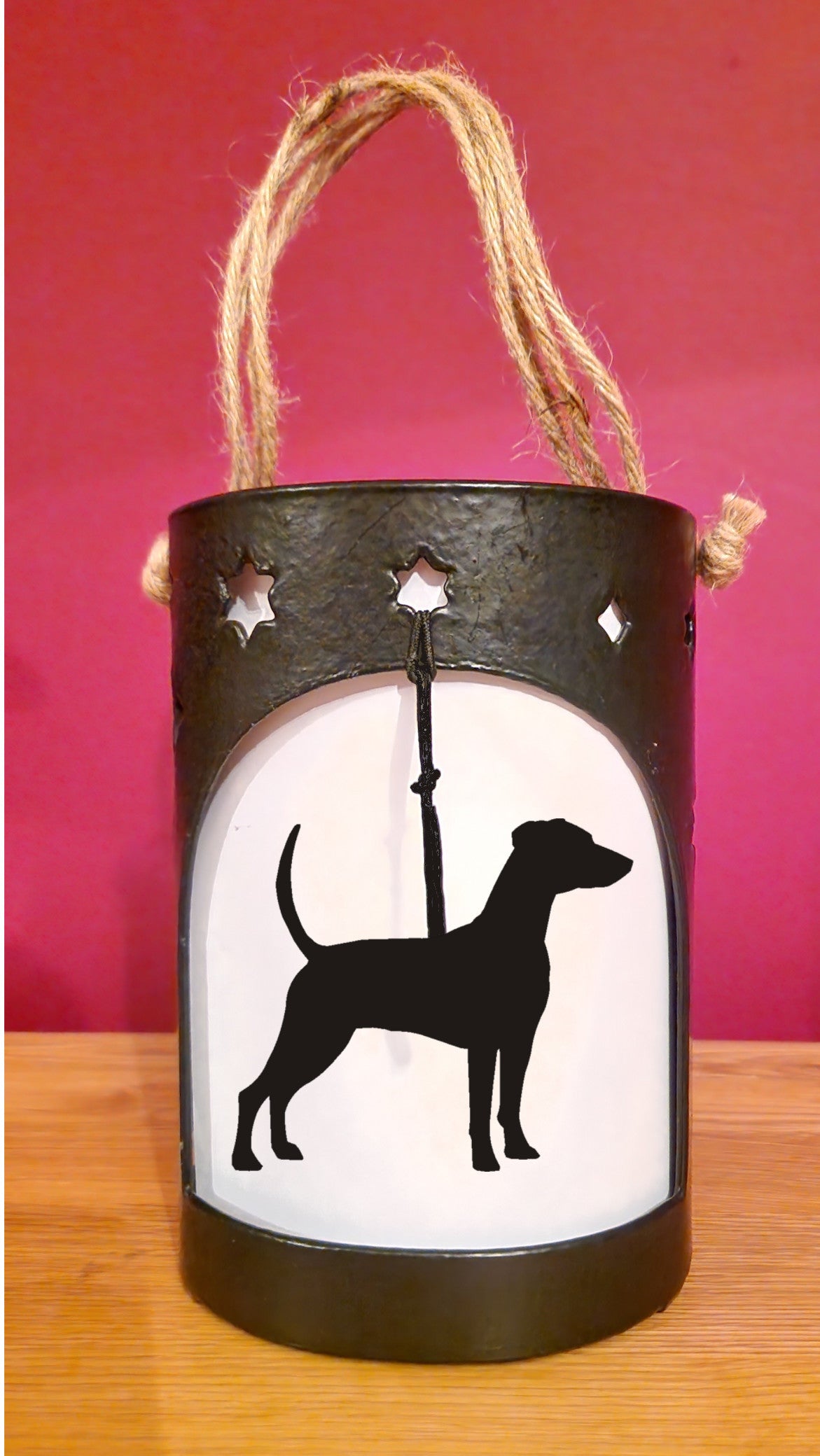 German Pinscher Starlight – The Profiles Range