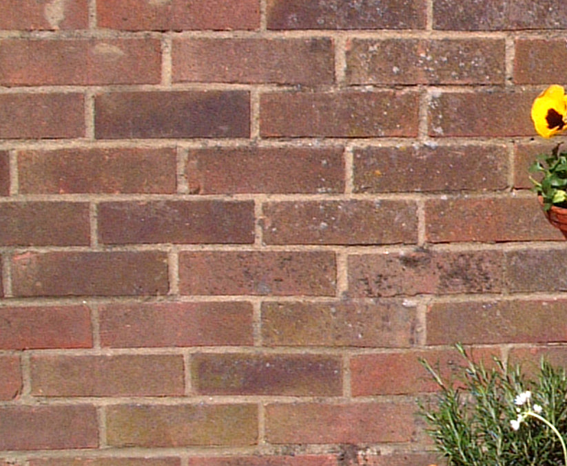 Simple Silhouettes that are great for cheering up a blank wall indoors ...