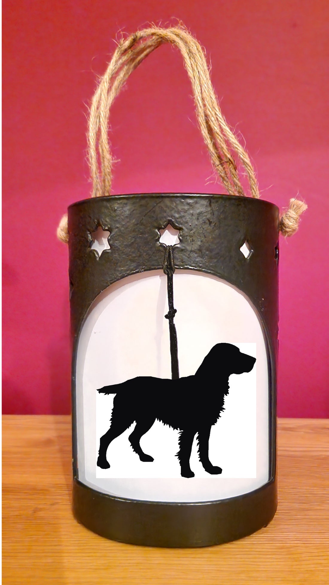 Springer Working Starlight – The Profiles Range