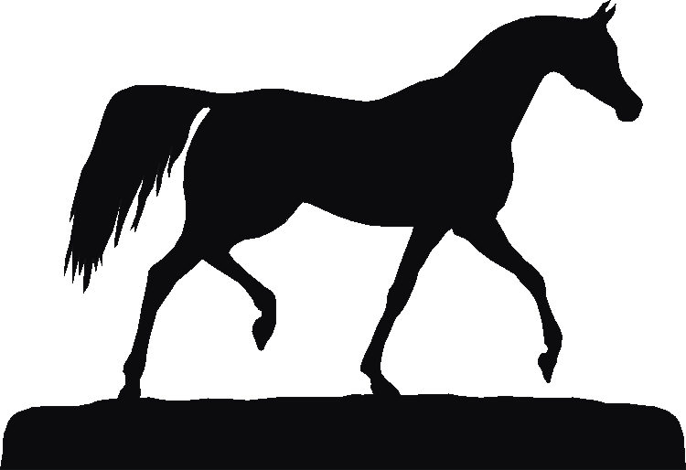 Arab Silhouettes | The Profiles Range