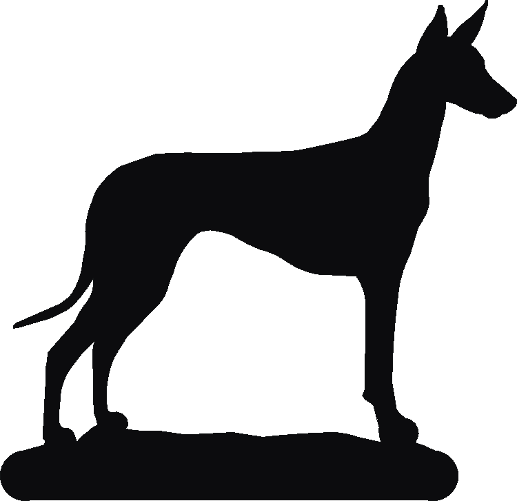 Pharoah Hound Letter Racks | The Profiles Range