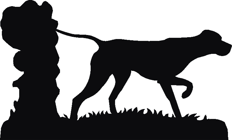 Pointer Trivia Tray | The Profiles Range