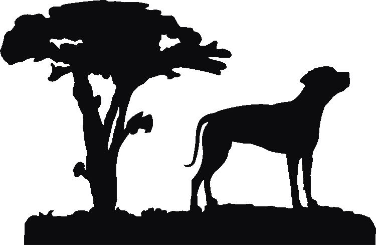 Rhodesian Ridgeback Silhouettes – The Profiles Range